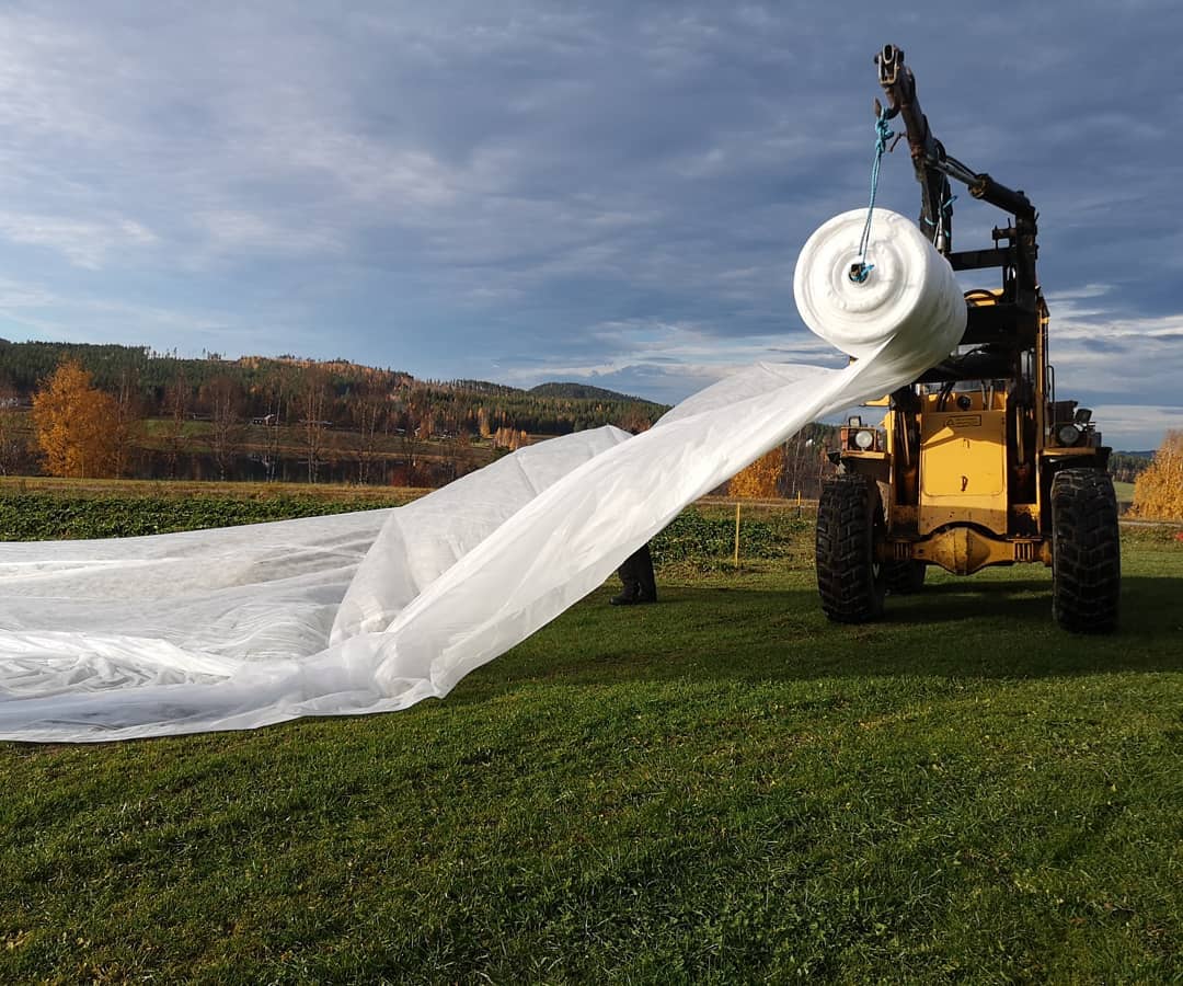 13 things to do in the countryside when bored | Farmstay Sweden