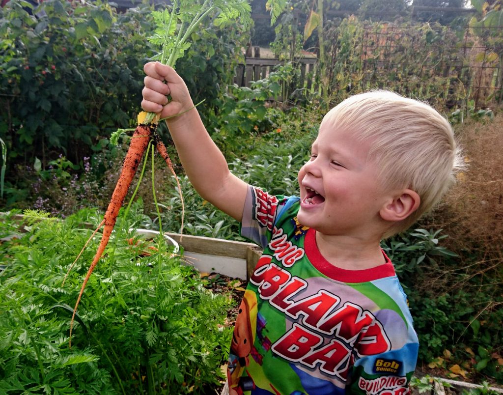 Farm accomodation in the Swedish countryside | Farmstay Sweden