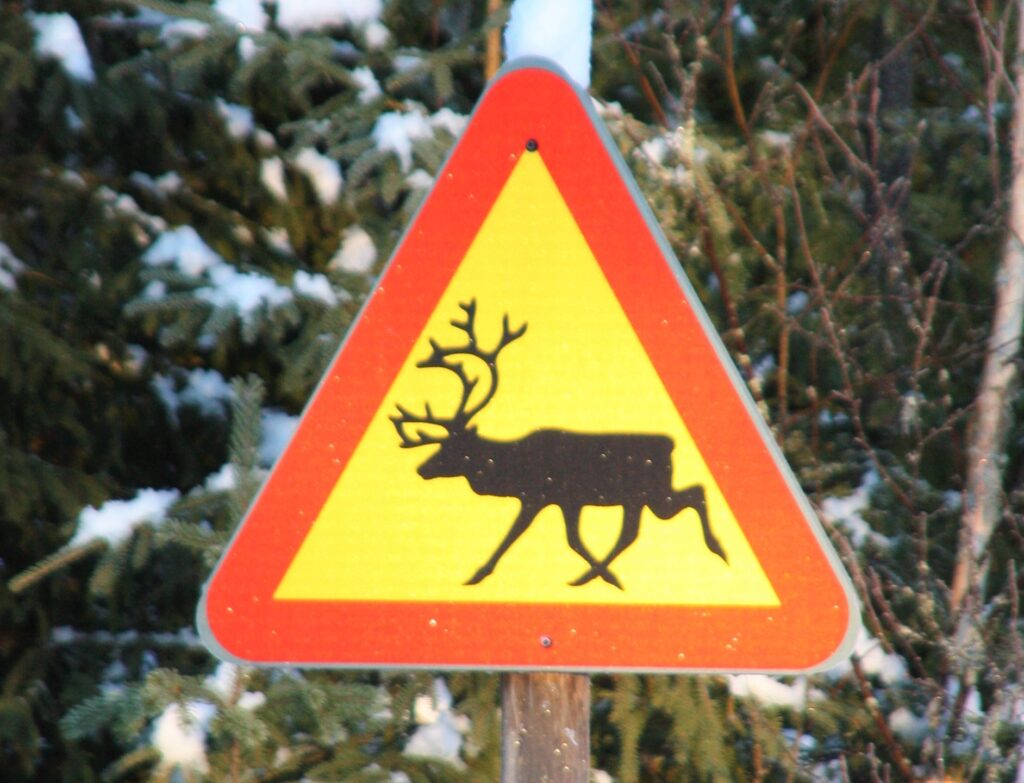 22 funny random facts about Sweden you didn't know | Farmstay Sweden