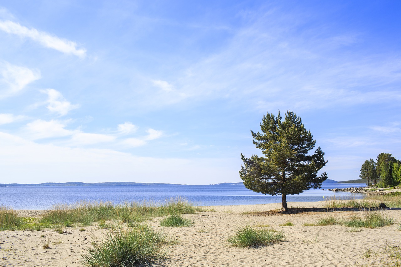 8 Places To See In Skåne Sweden | Farmstay Sweden