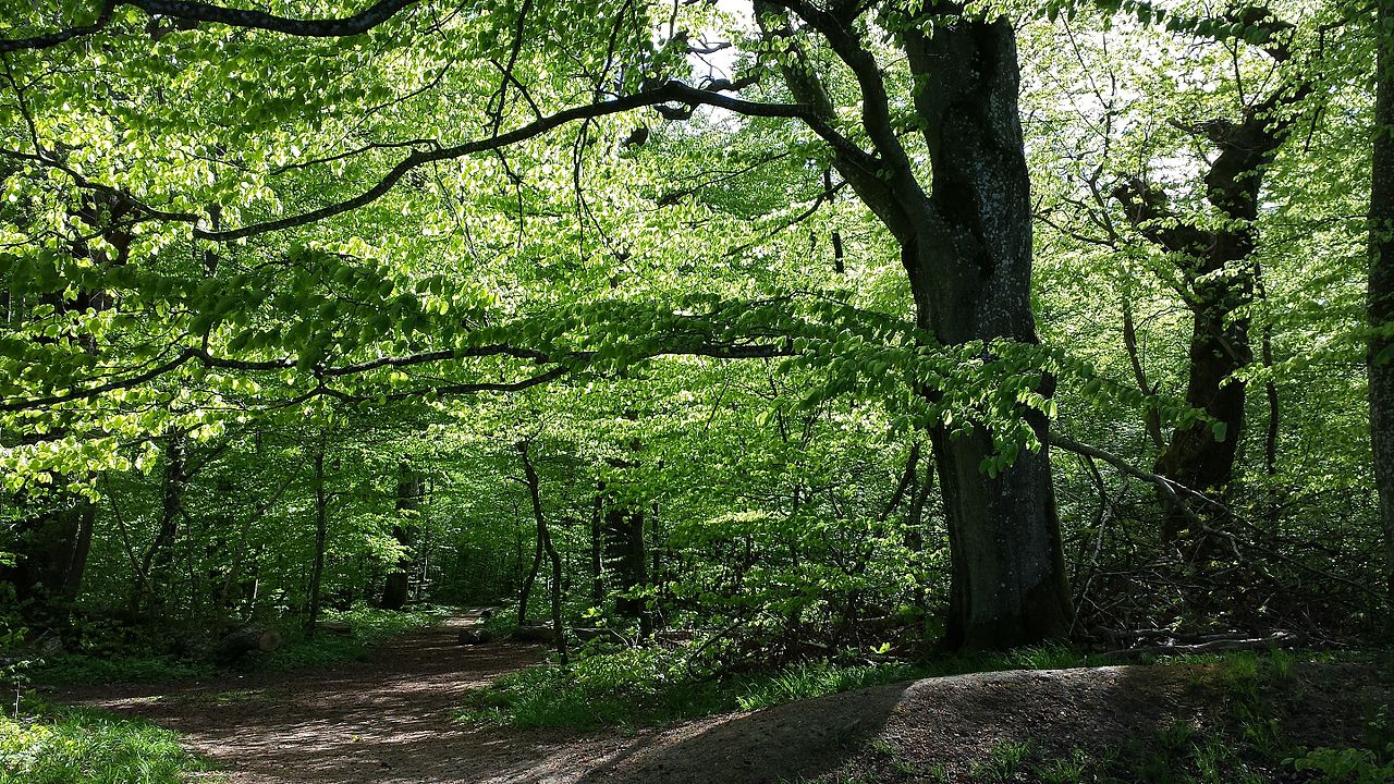 Visiting Lund, Sweden: The charming Swedish city | Farmstay Sweden